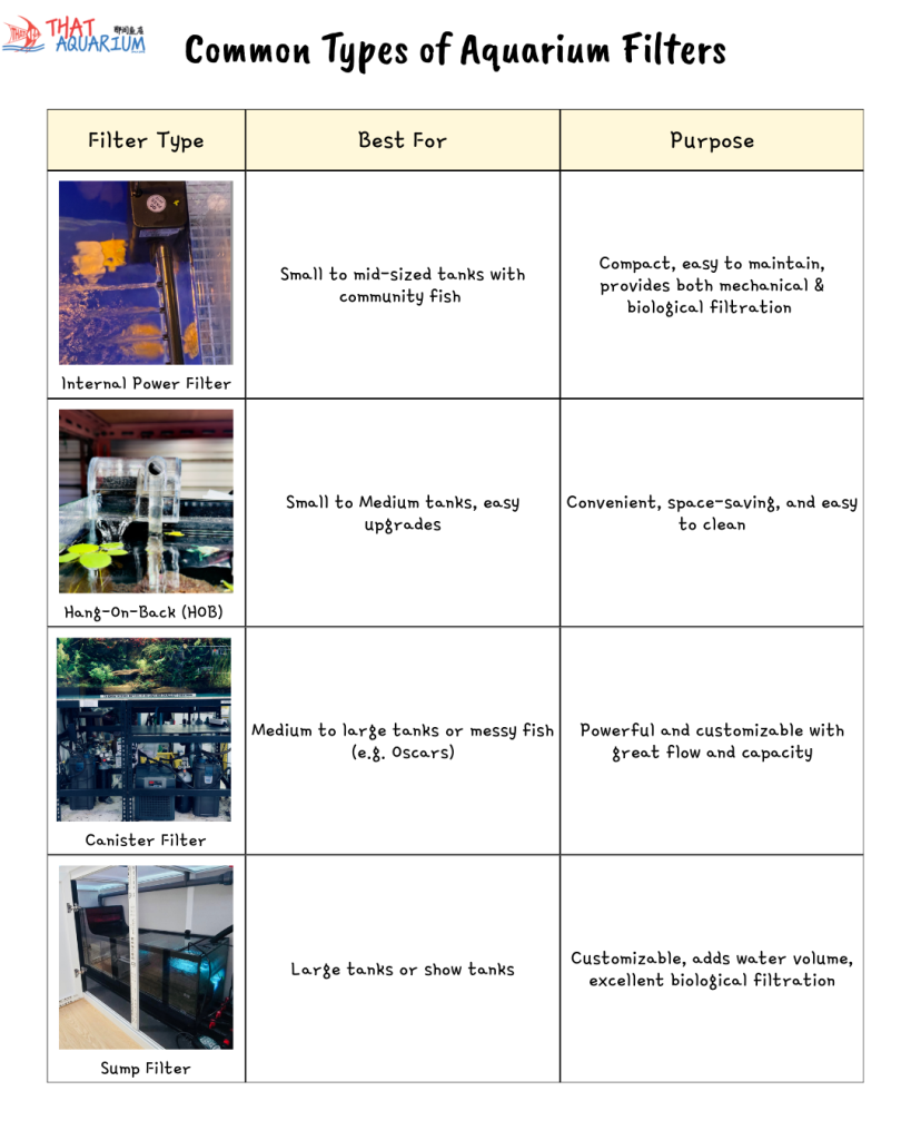 2. Filter - Singapore’s Trusted Aquarium Shop for Over 20 years