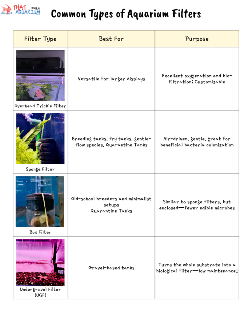 2. Filter - Singapore’s Trusted Aquarium Shop for Over 20 years