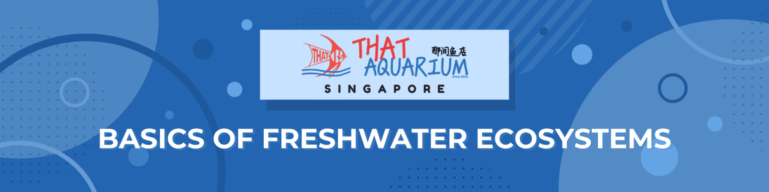1. Basics of Freshwater Ecosystems - Explore That Aquarium history ...